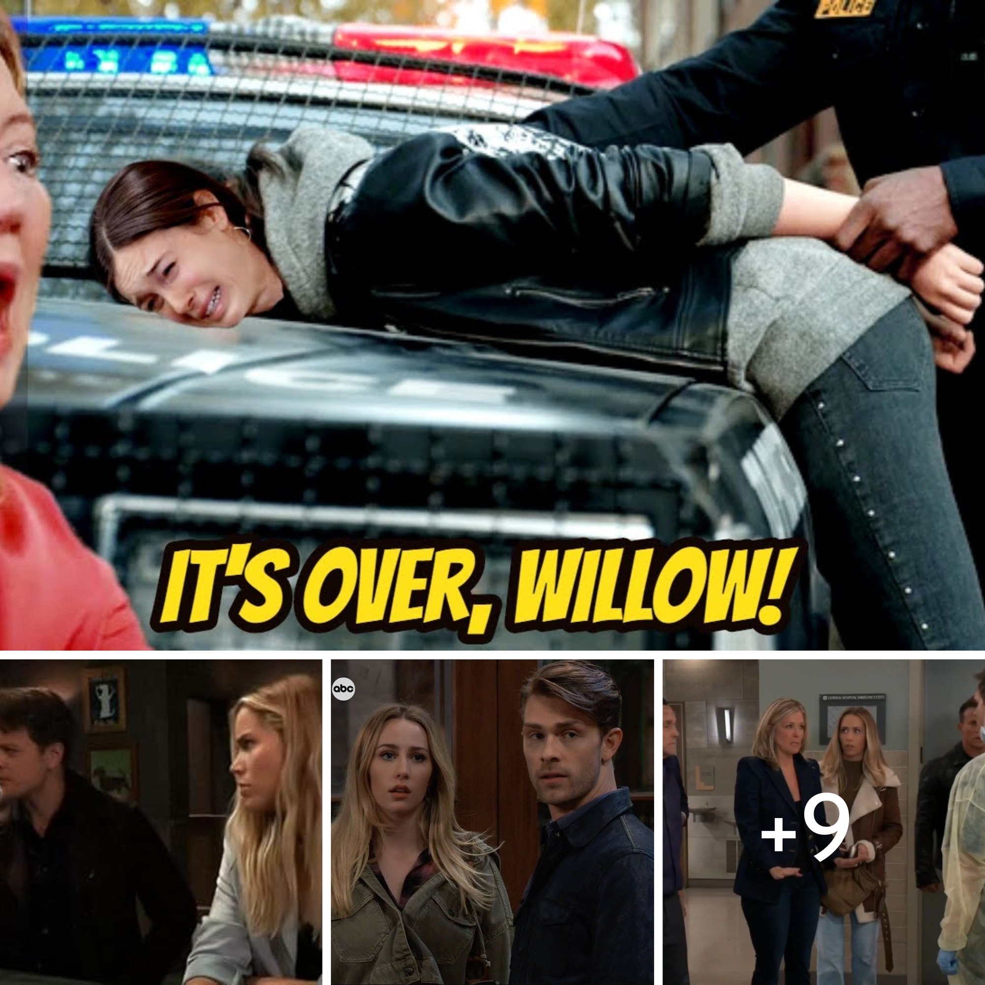 Willow Loses Parental Rights and Faces Attempted Murder Charges in ...